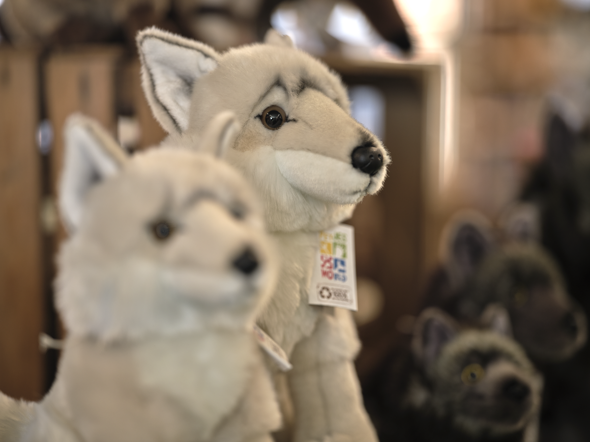Products – Petjes World