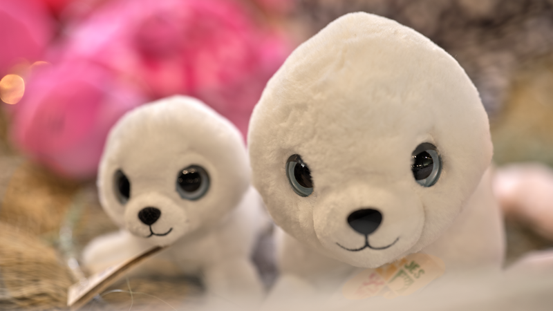 Products – Petjes World