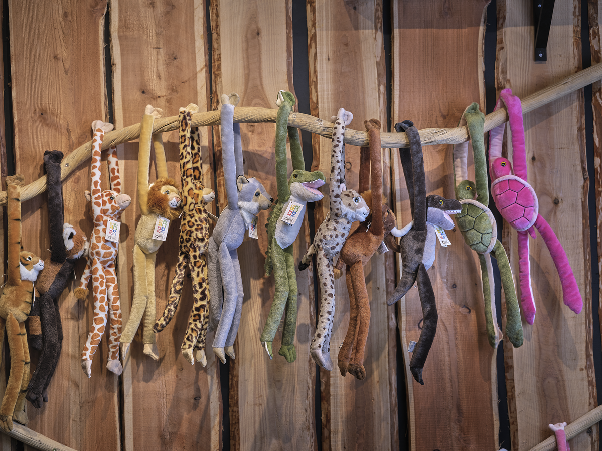Showroom – Petjes World