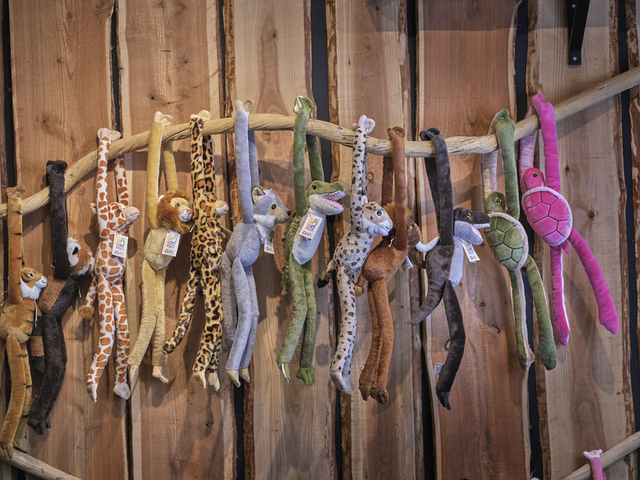 Showroom – Petjes World