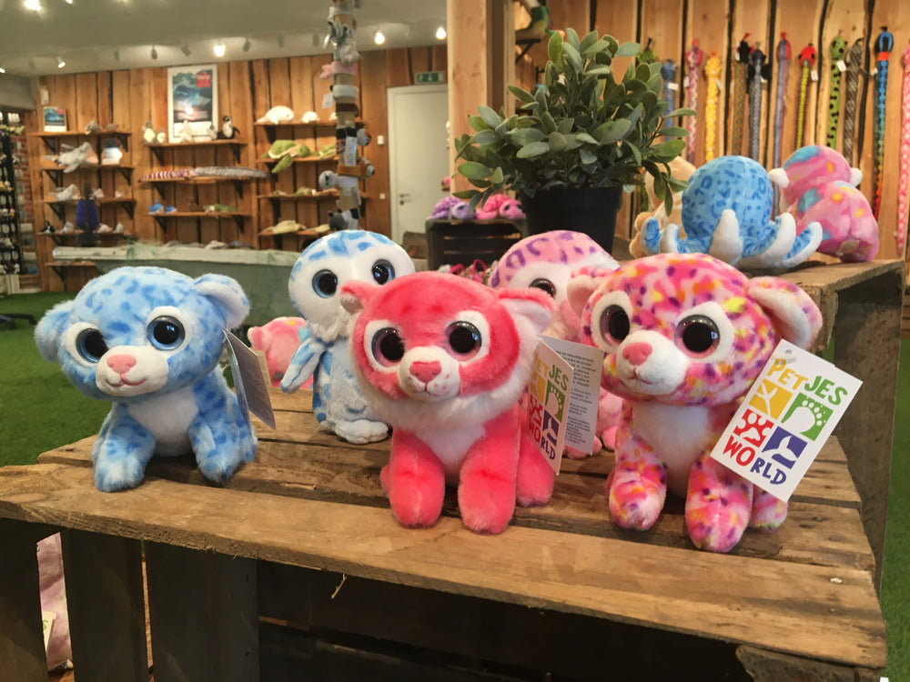 Products – Petjes World